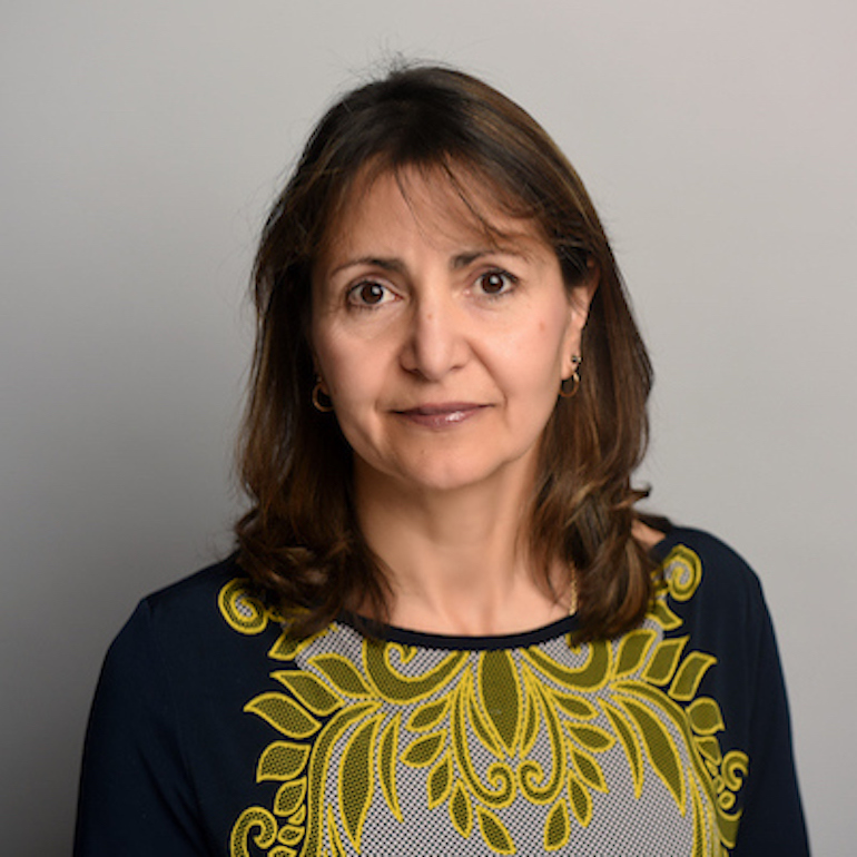 Testimony by Dr. Diana Romero helps overturn laws restricting abortion ...