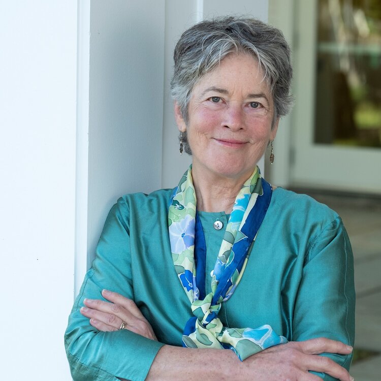 Reclaiming Democratic Governance of the Food System: Lessons from the ...